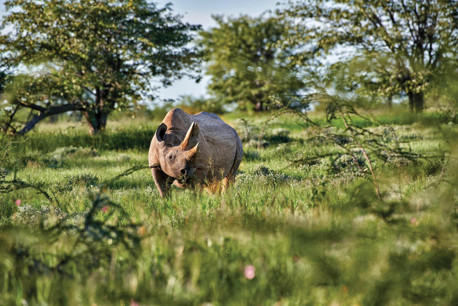 15 Days All about Namibia - Motema Tours and Safaris
